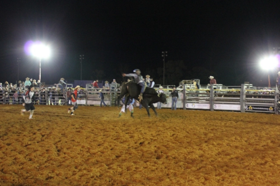 Rodeos and Race Tracks | My Bloggable Day