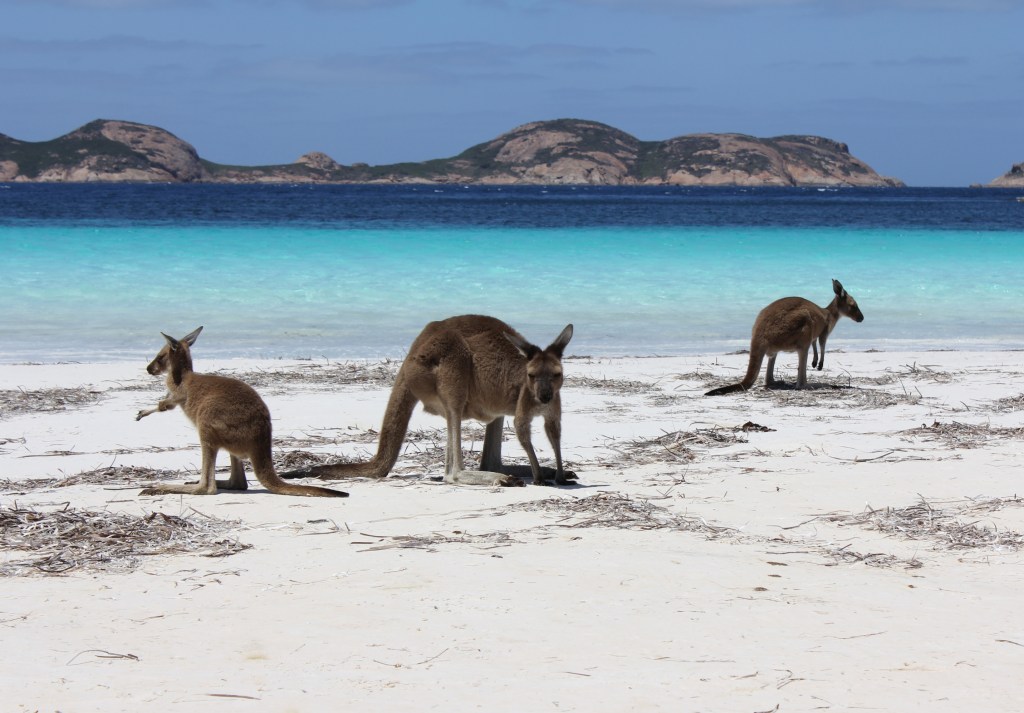 My top 8 blue water travel destinations | My Bloggable Day