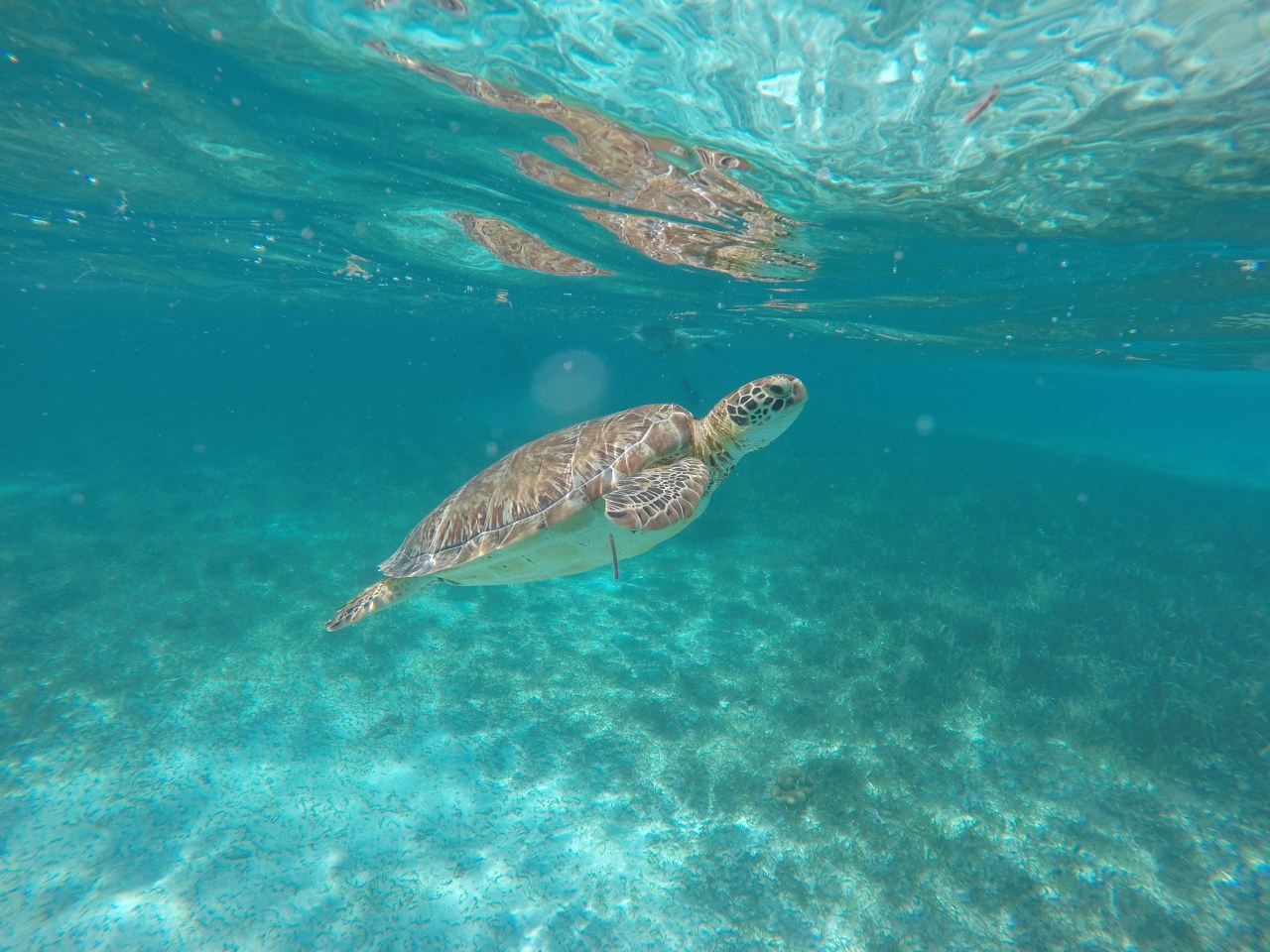 My top 8 blue water travel destinations | My Bloggable Day